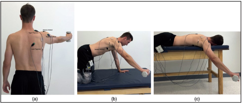 肩甲面での外転運動 “Scaption” – ウォーターホルダー